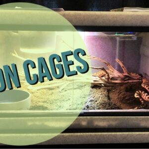 Model 632 Cage - 200 Gallon Reptile Enclosure - Vision Products