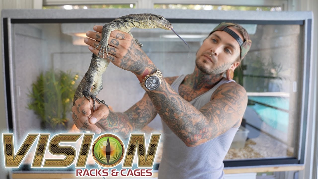 My Water Monitor gets a new VISION CAGE and HE LOVES IT!!! Everyones ...