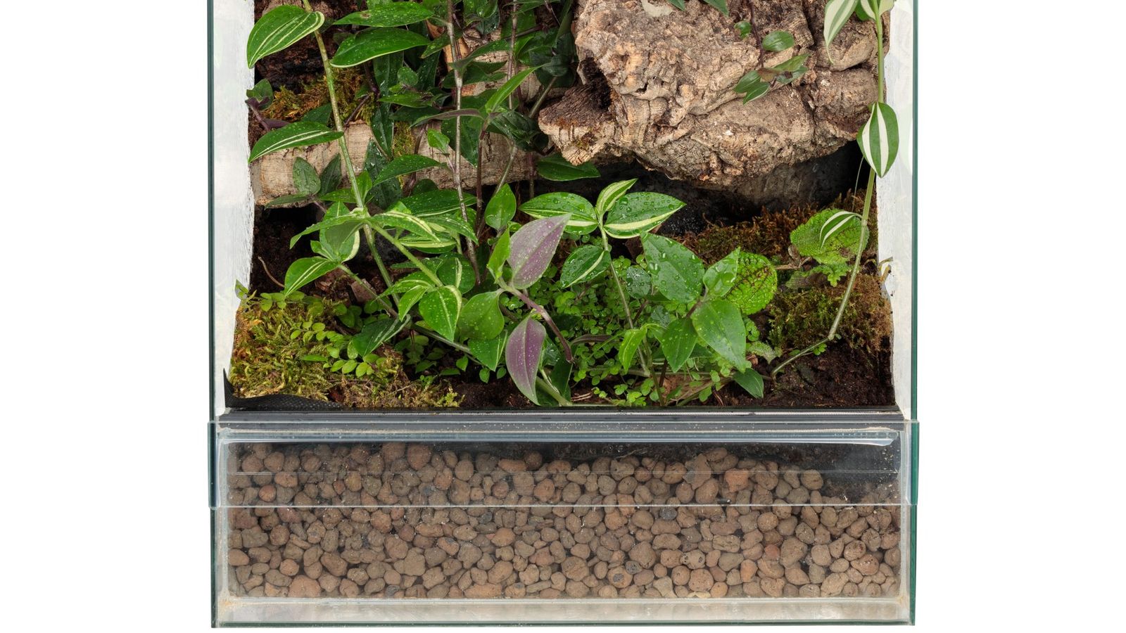 Reptile Enclosure Materials: Which is The Best for You? - Vision Products